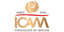 Home Chocolate Factory: ICAM